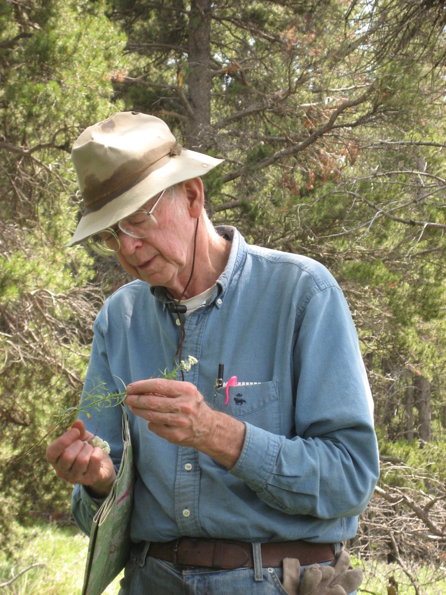 Holmes Rolston, III (1932-1925): A Giant in Environmental Ethics ...